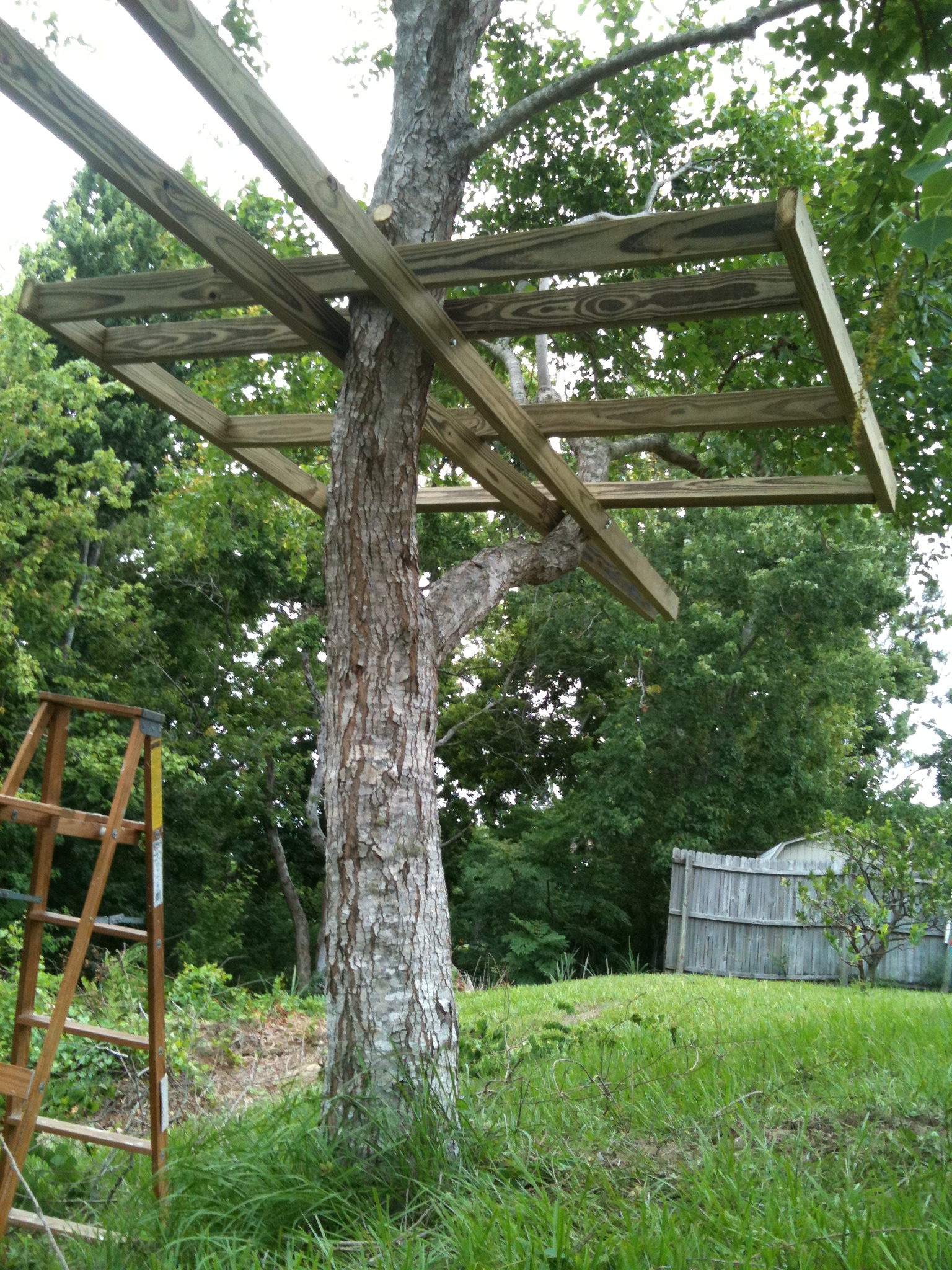 Our treehouse | Kurt's Blog